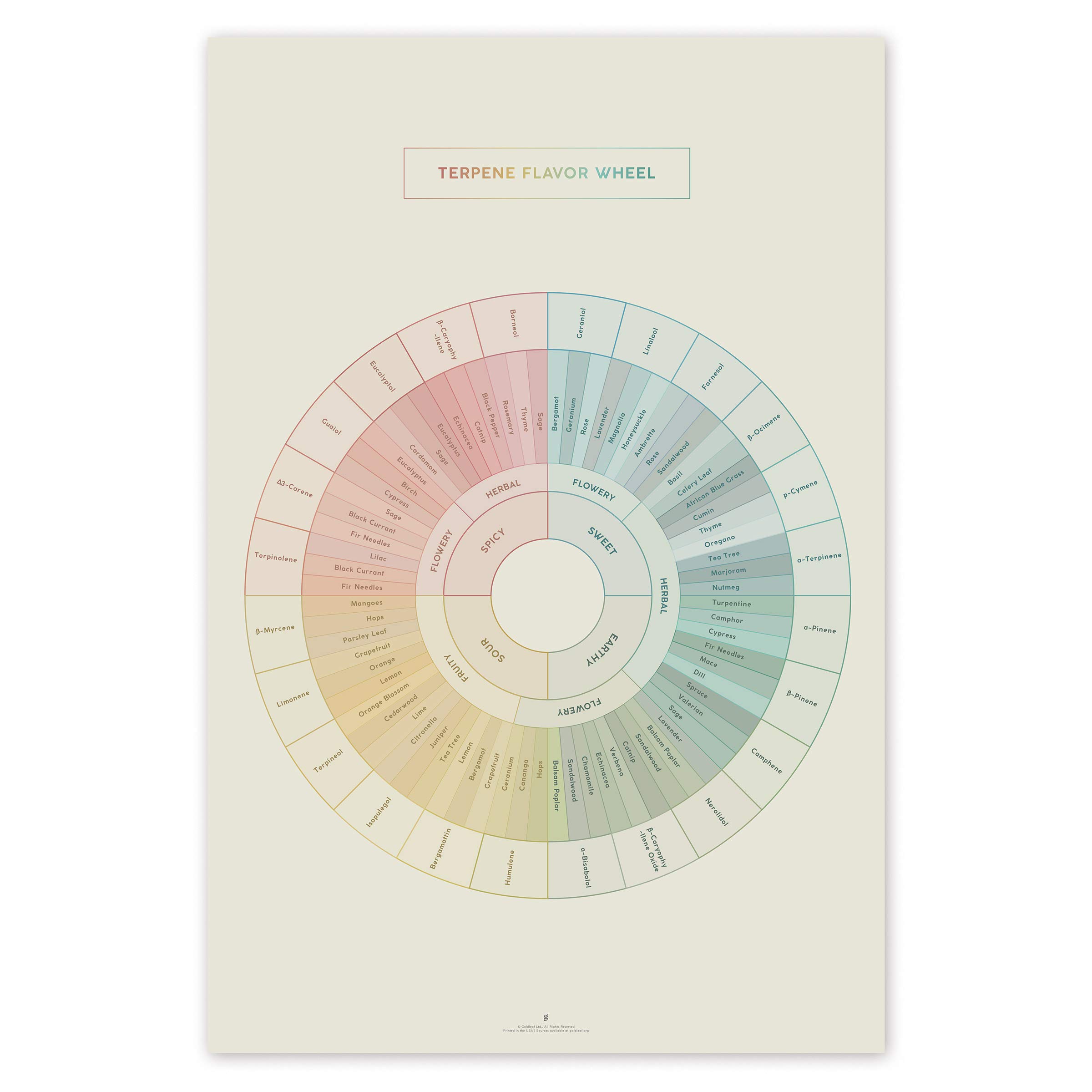 Buy Goldleaf Terpene Flavor Wheel Art Print, Minimalist Terpenes ...