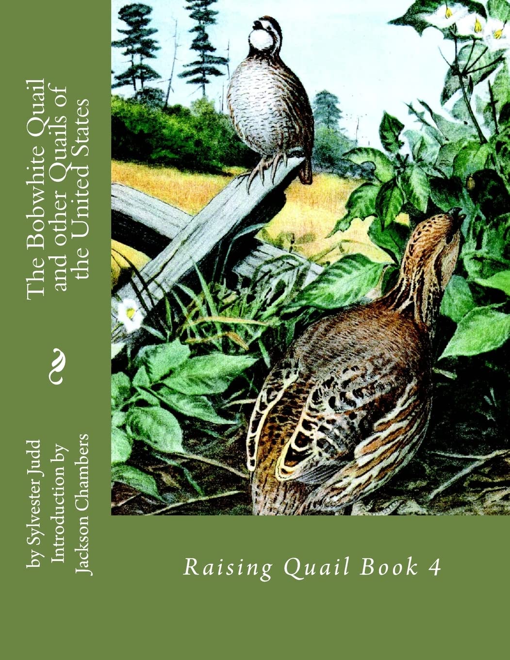 The Bobwhite Quail and other Quails of the United States: Raising Quail ...
