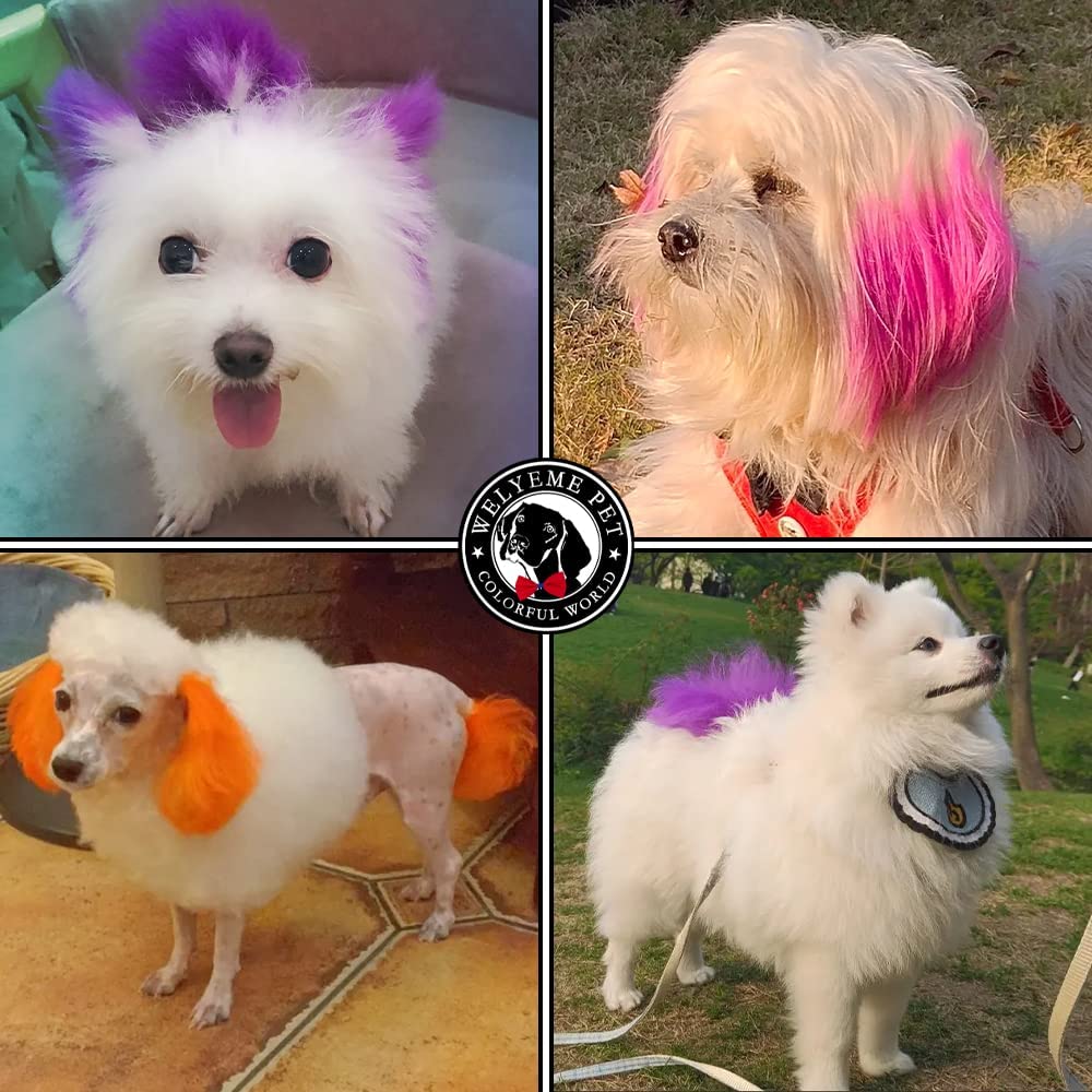 Dyed Pomeranian Tail