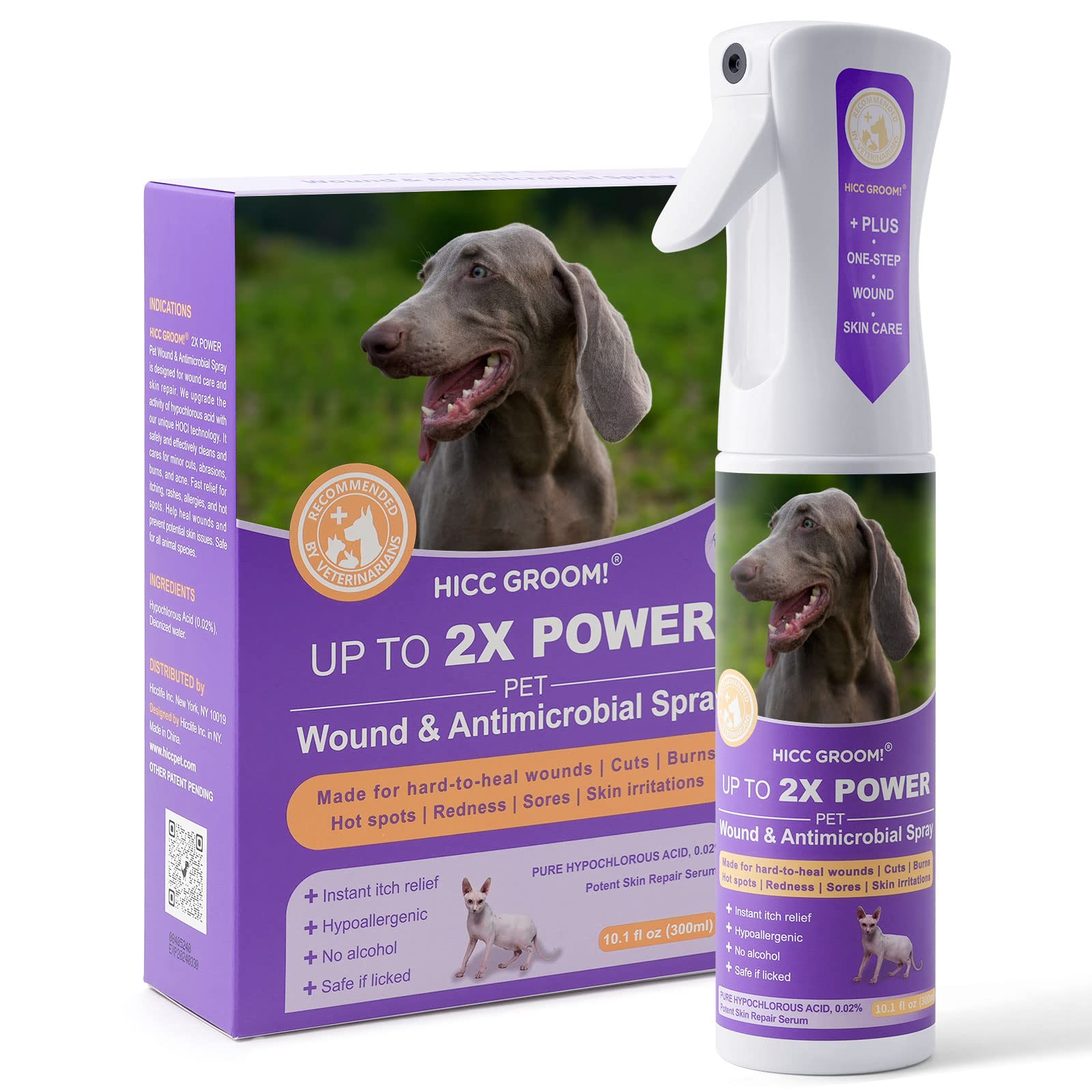 How To Help Dogs Wounds Heal Faster