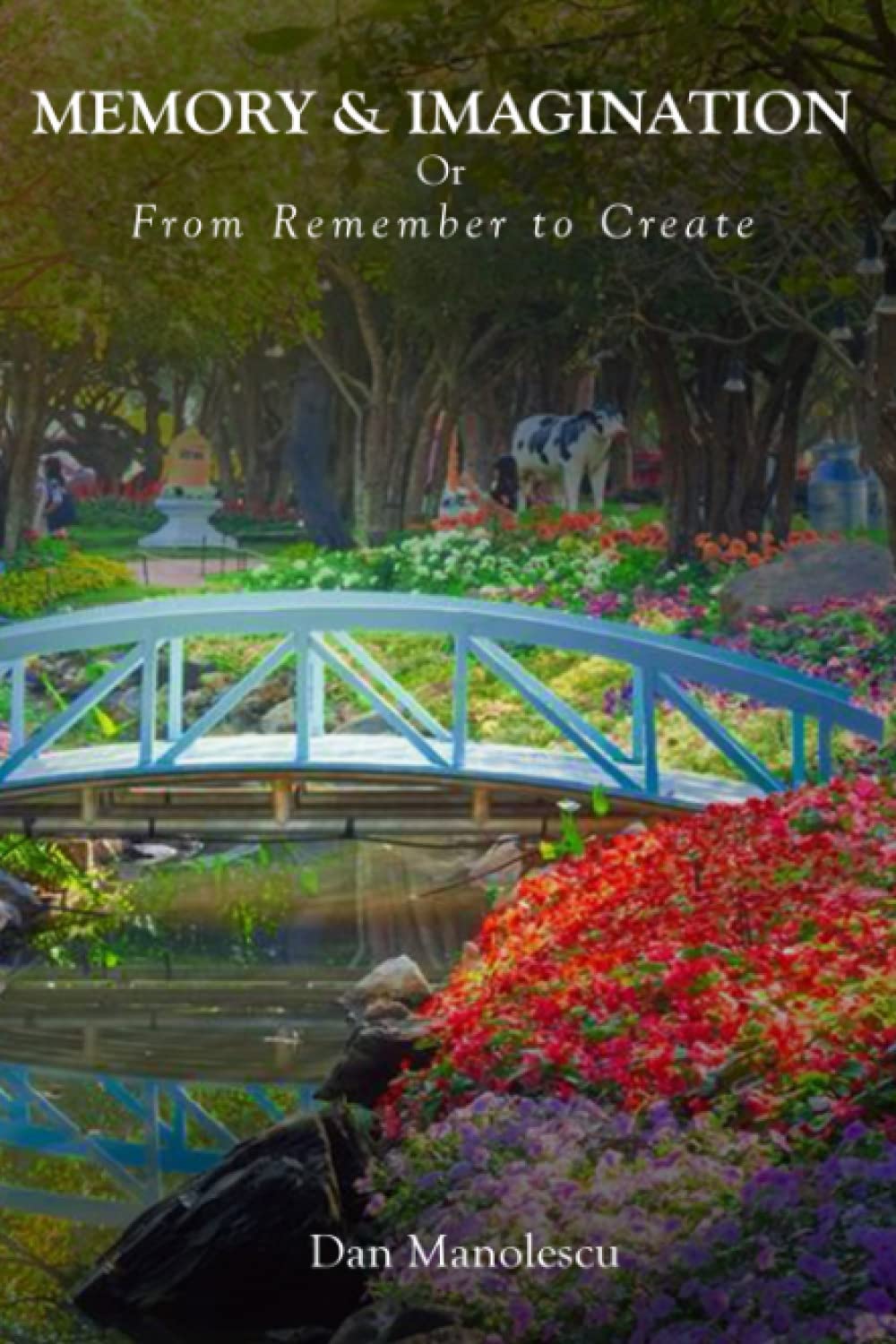 Memory and Imagination: From Remember to Create: Manolescu, Dan ...