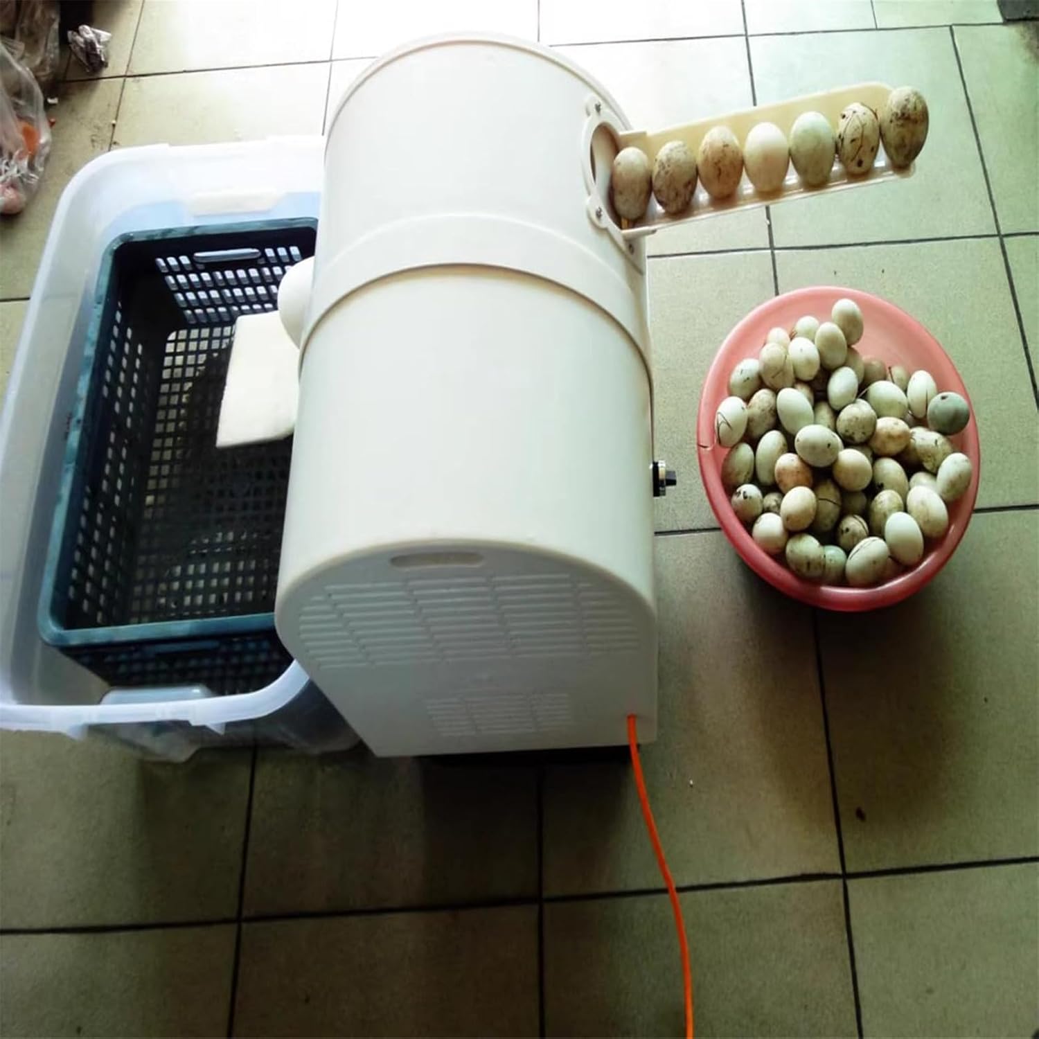 Amazon.com: NYMFEA Automatic Egg Cleaning Machine, 120W, Commercial ...