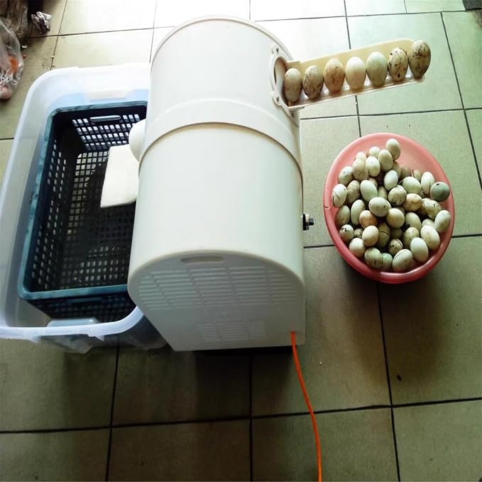 Amazon.com: NYMFEA 120w Egg Washer Machine Automatic Egg Cleaning ...