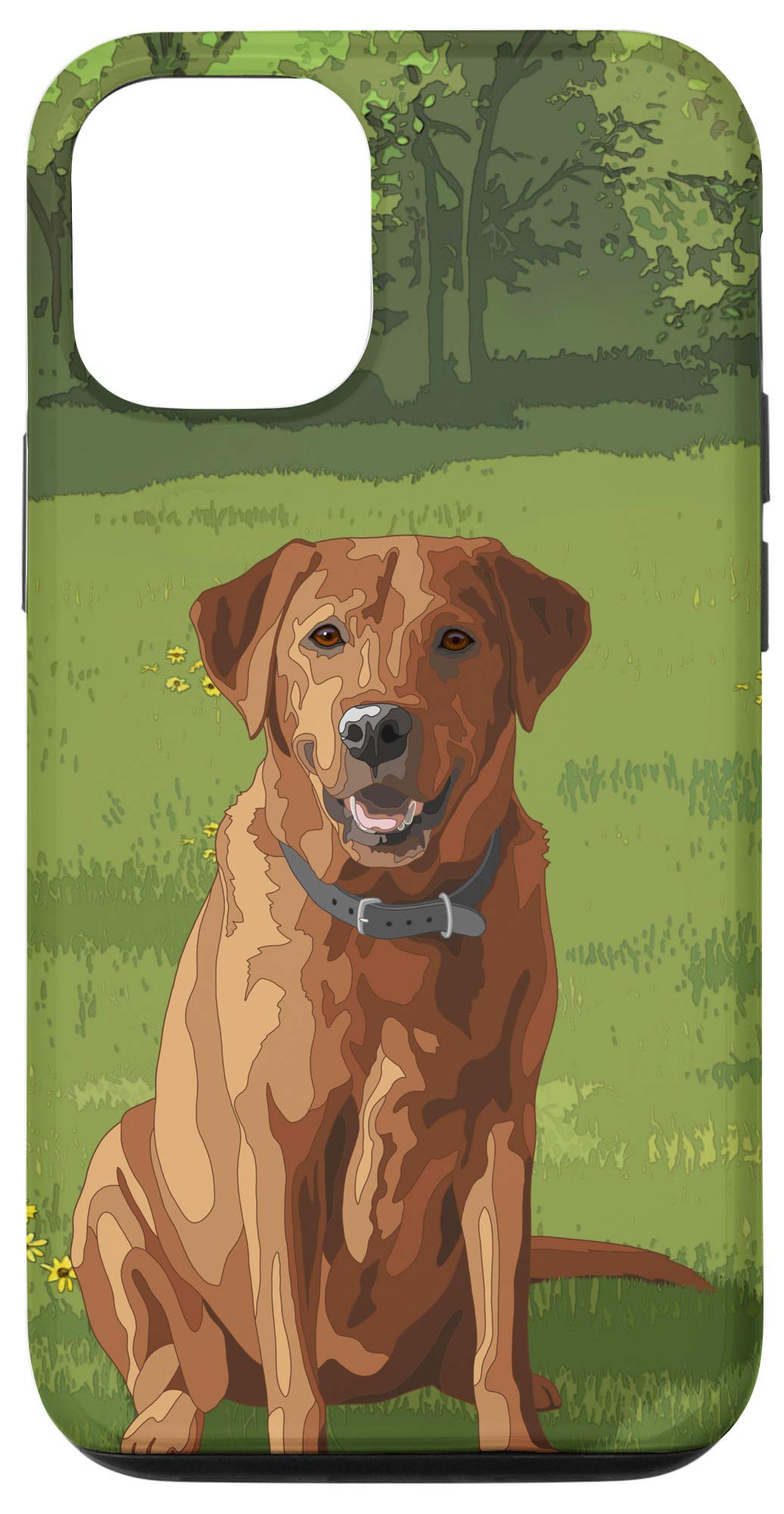 Red Yellow Labrador Retriever