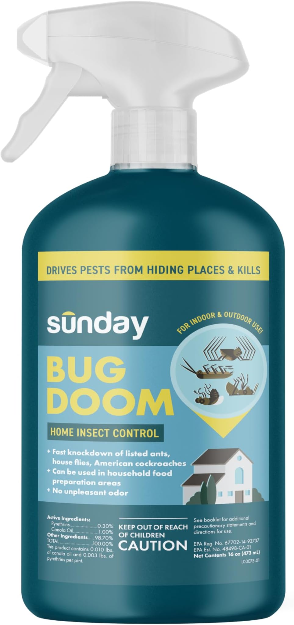 Amazon.com: Sunday Bug Doom Home Insect Barrier Spray - Indoor Insect ...