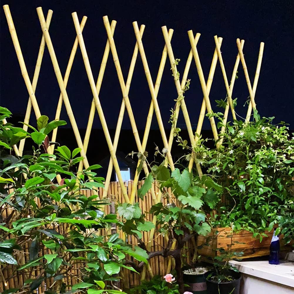 Bamboo Pole Garden Trellis
