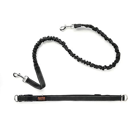 Amazon.com : RUFFWEAR - Roamer Leash, Purple Dusk, Medium : Pet Supplies