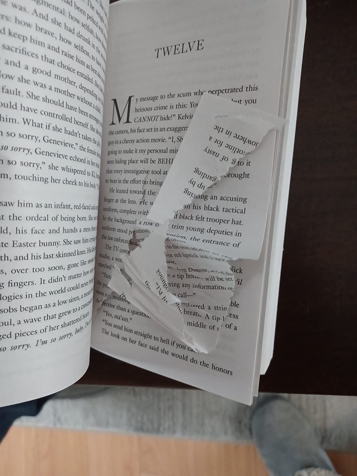 The Boy: A Novel eBook : Hoag, Tami: Amazon.ca: Kindle Store