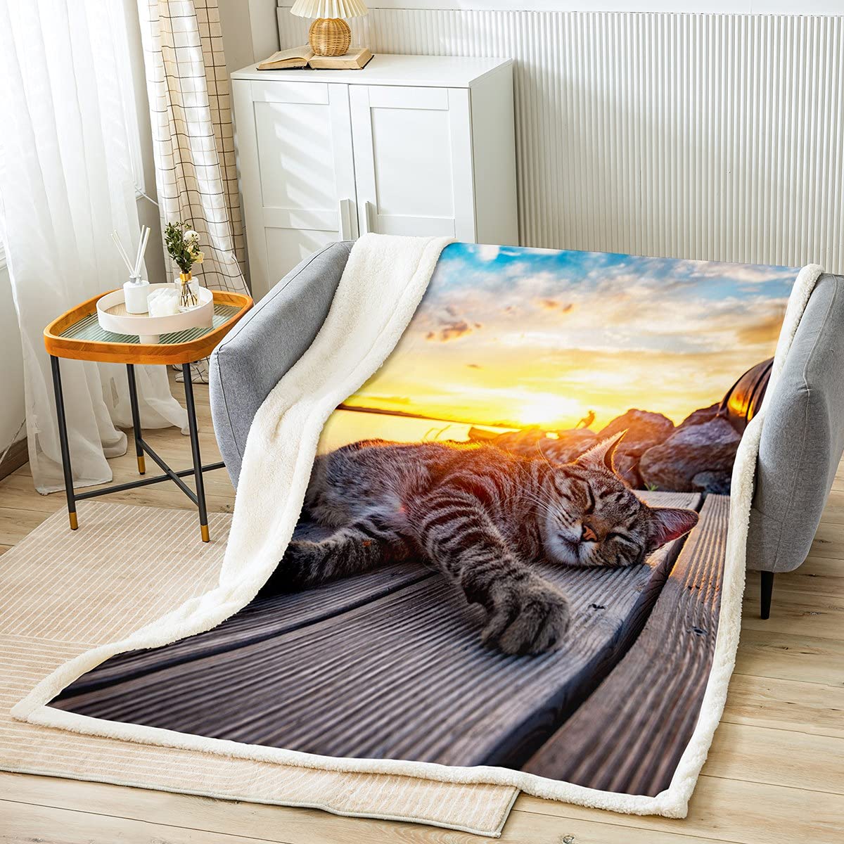 Cold Cat Blanket