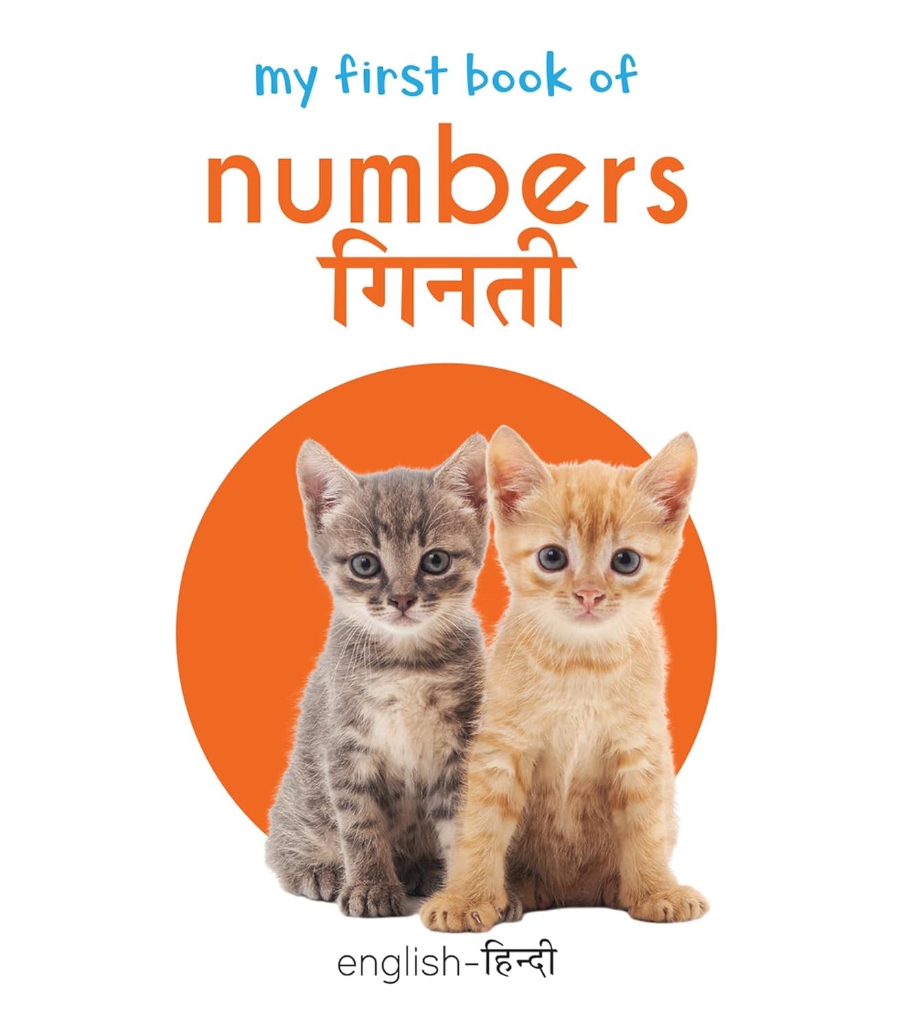 My First Book of Numbers - Ginti: My First English - Hindi Board Book ...