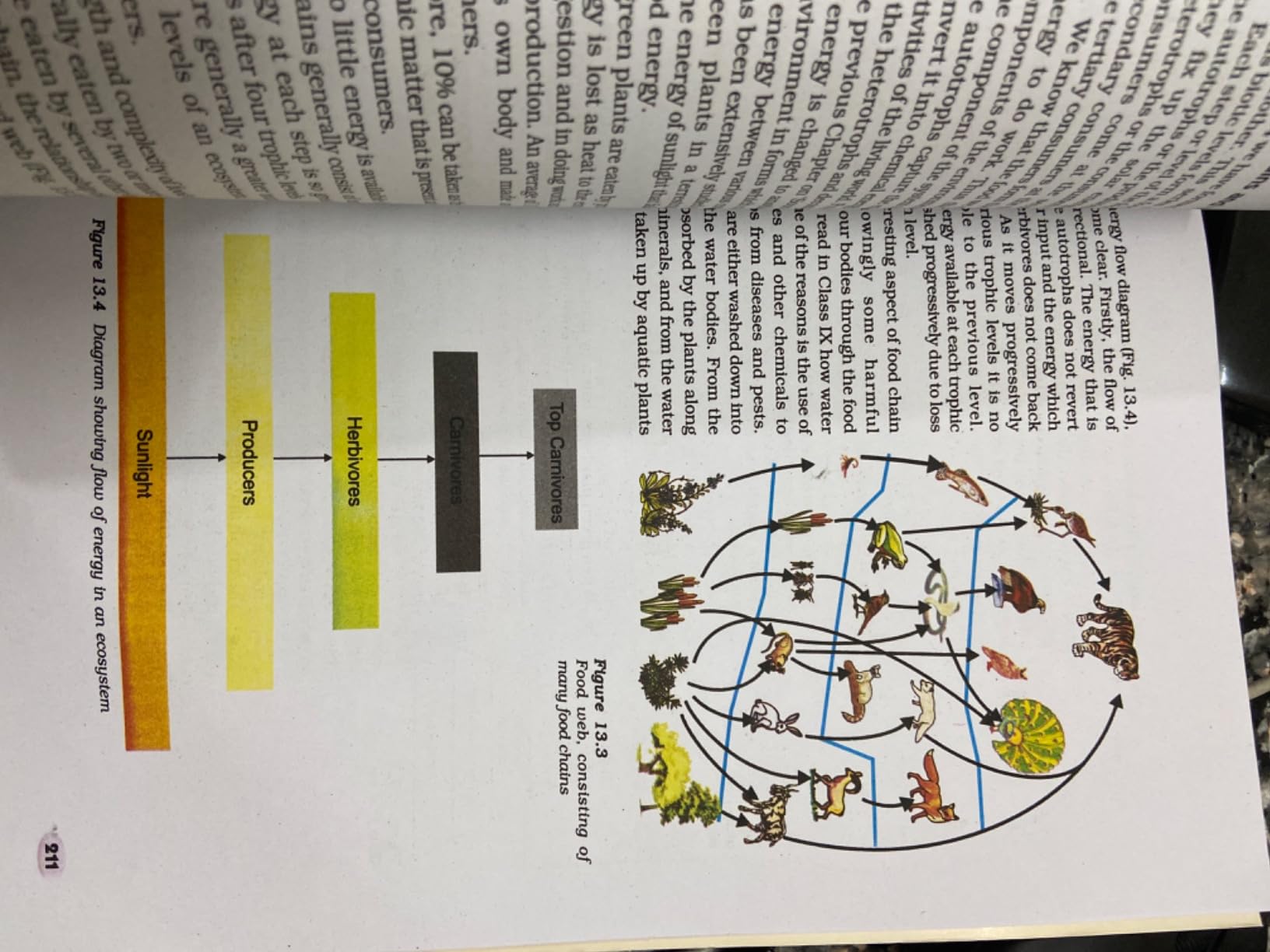 Science For Class - 10 - 1064 : NCERT: Amazon.in: Books