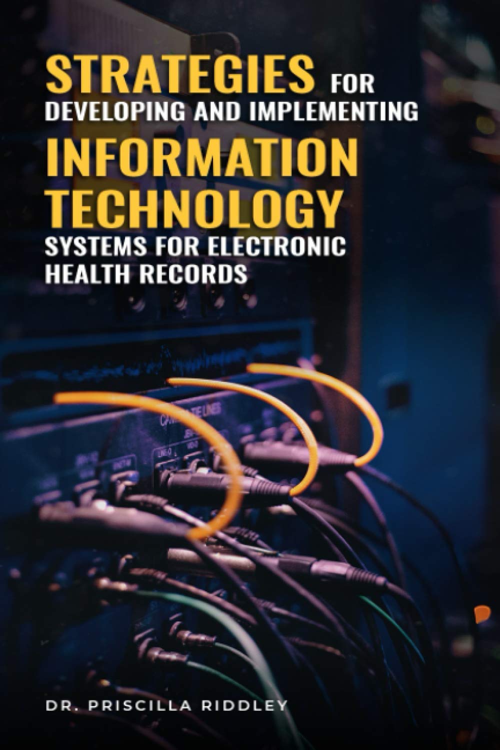 Strategies for Developing and Implementing Information Technology ...