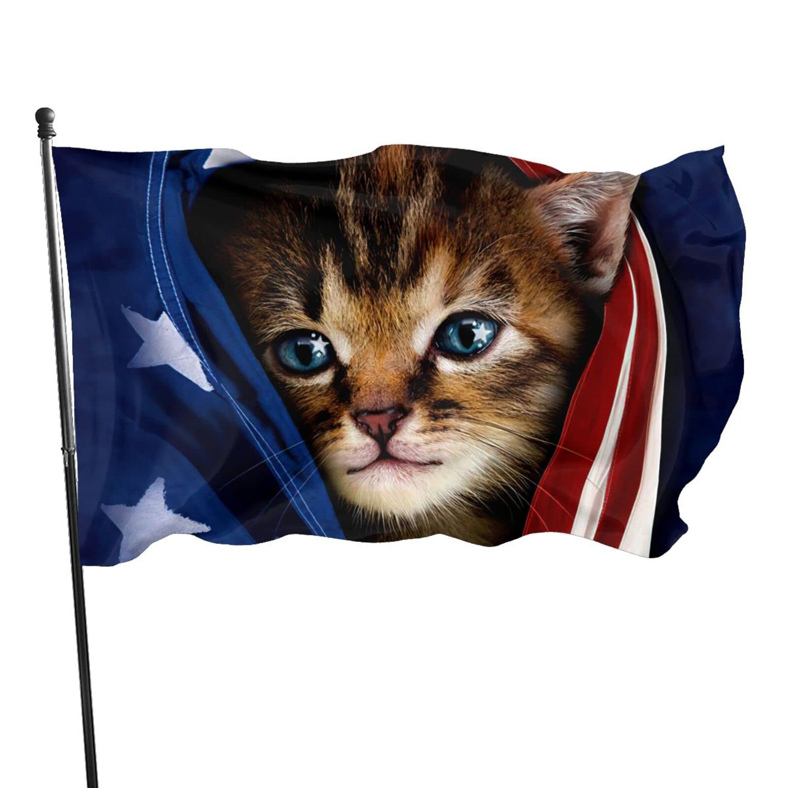 American Flag Cat