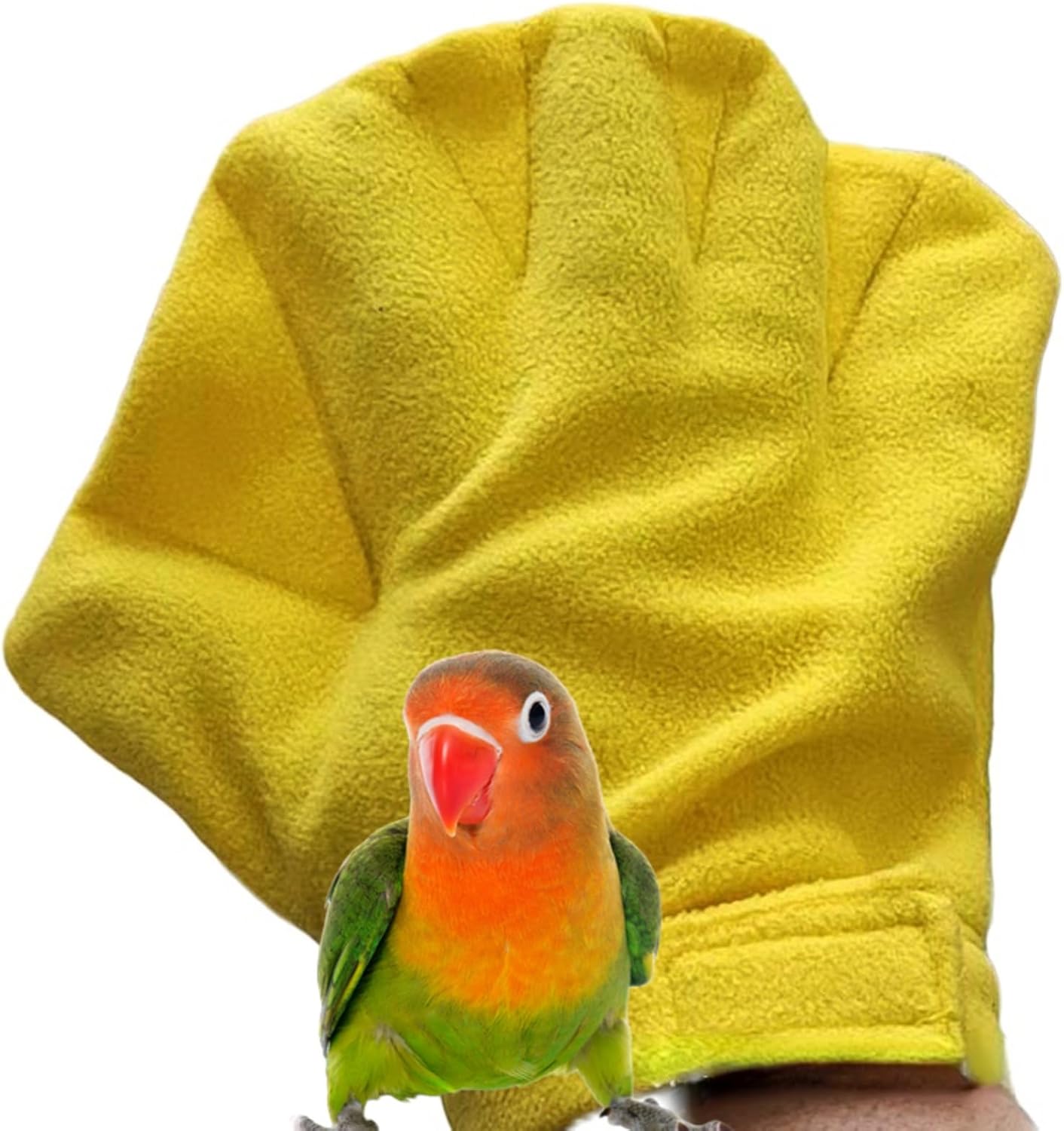 Amazon.com : UNMULFC 1 Pair Parrot Anti-bite Glove Bird Bite-Proof Bird ...