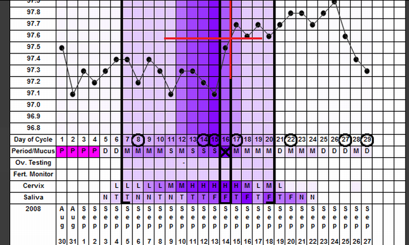 Pregnant Fertility Charts Pregnancy Chart: What To Expect Each