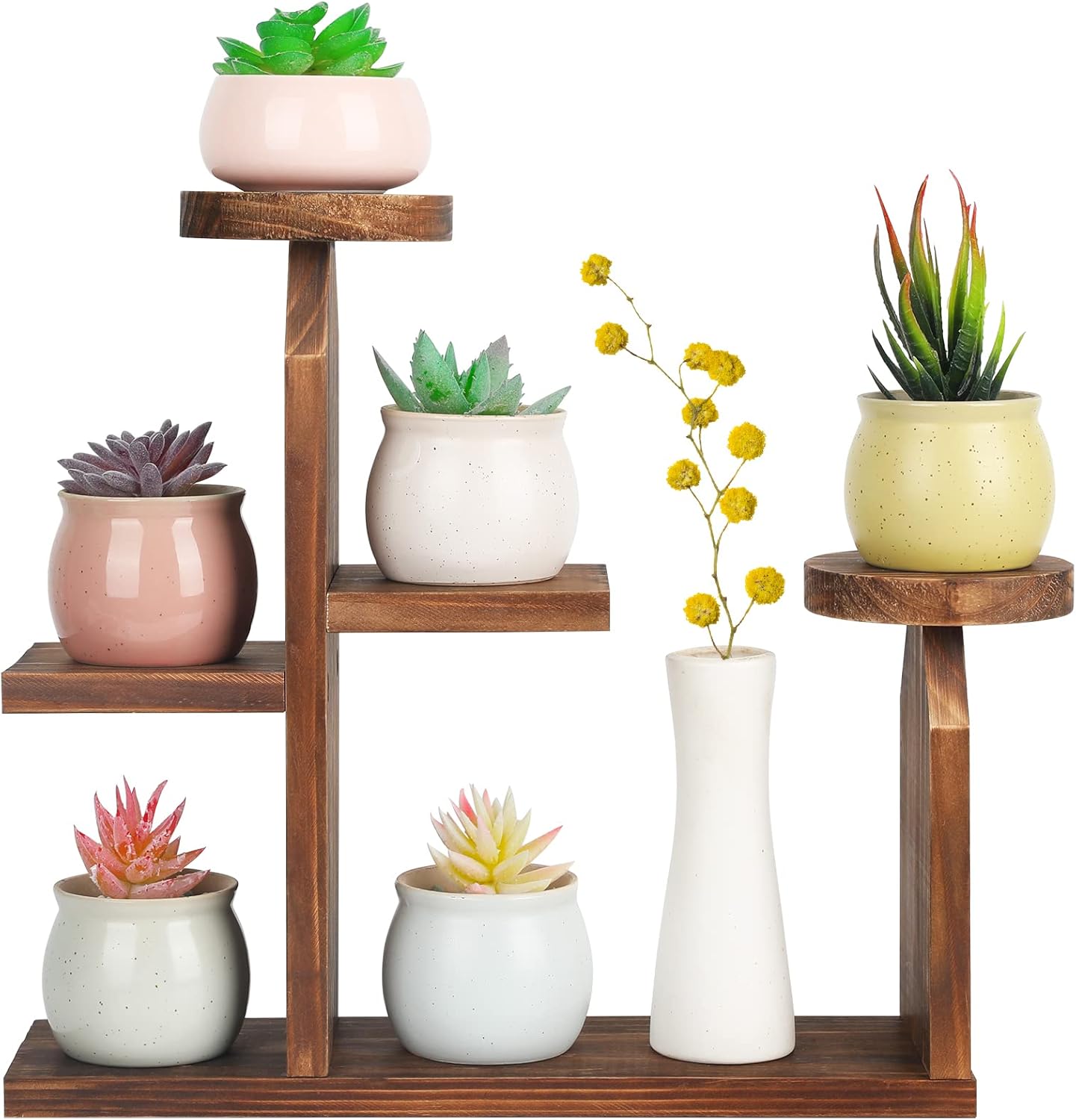 Amazon.com: COOGOU Wood Desktop Plant Stand - 5 Tier Tabletop Plant ...