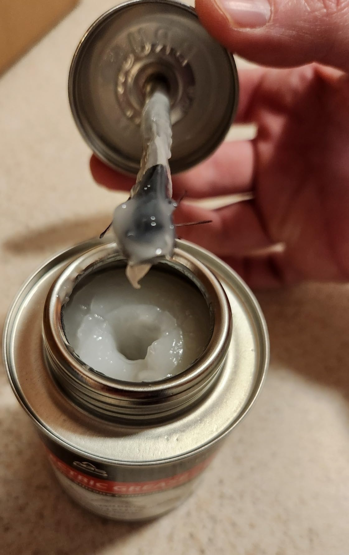 Amazon.com: AGS Automotive Solutions Brush Top Can Dielectric Silicone ...