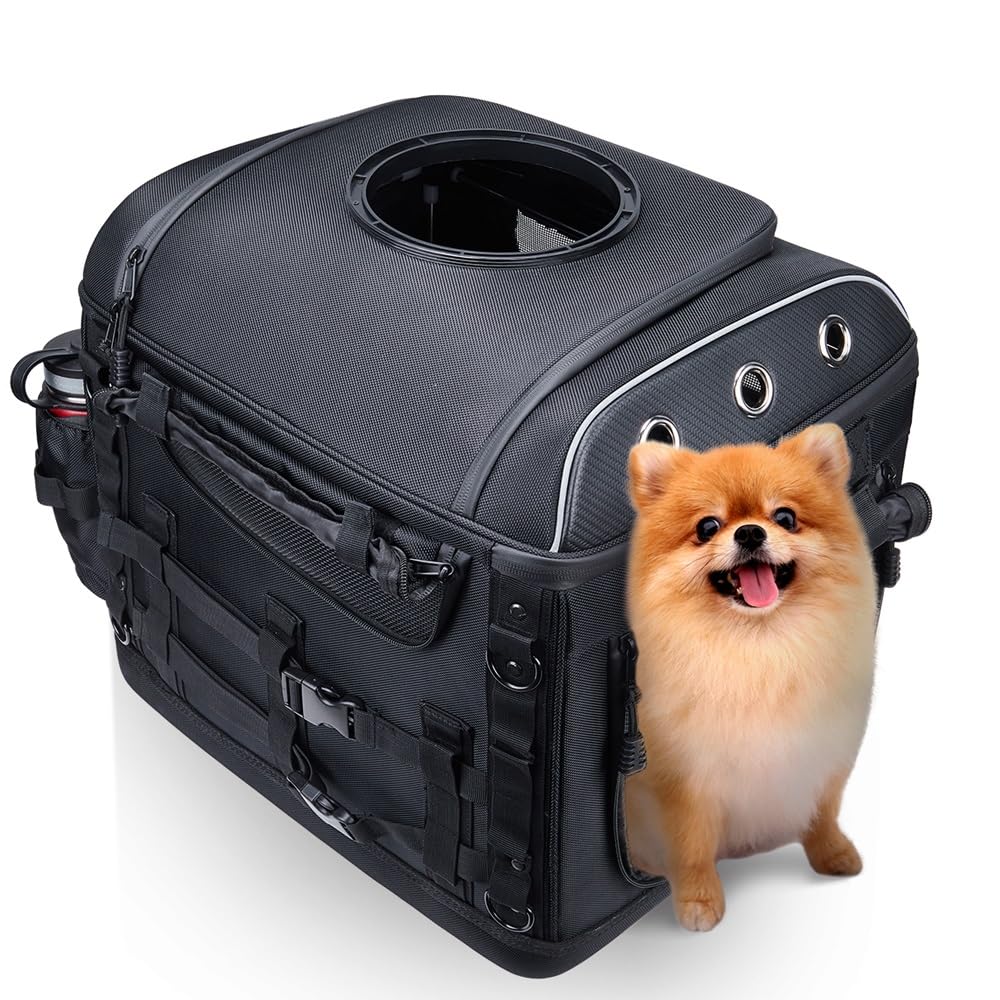 Motorcycle Dog Carrier Seat Man Makes Motorcycle Seat For Dog Before
