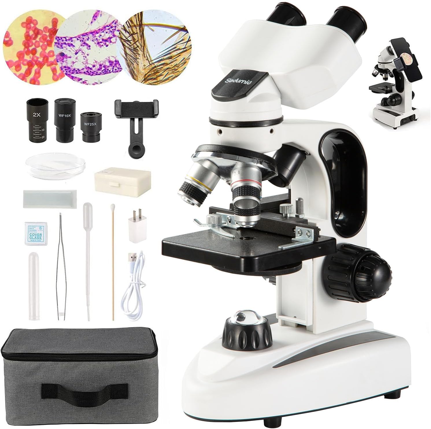 Amazon.com: Sedumic Compound Binocular Microscope 40X-2000X LED ...