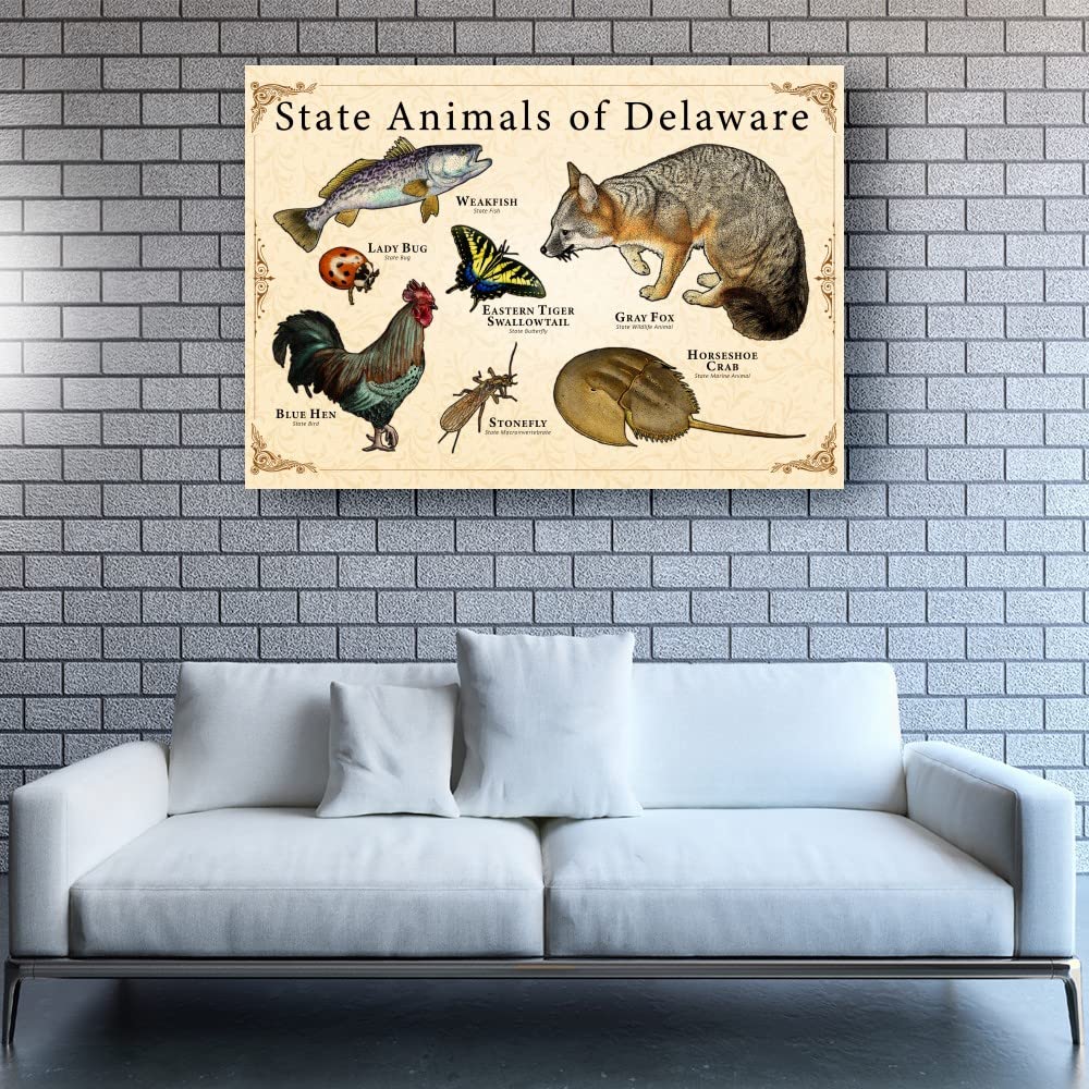 Delaware State Animal