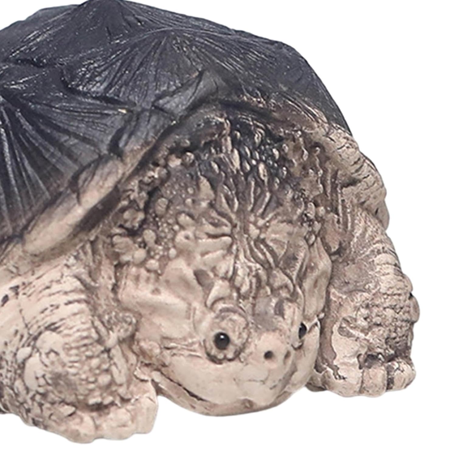 Buy SAZ DEKOR Miniature Snapping Turtle Statue Table Art for Bedroom ...