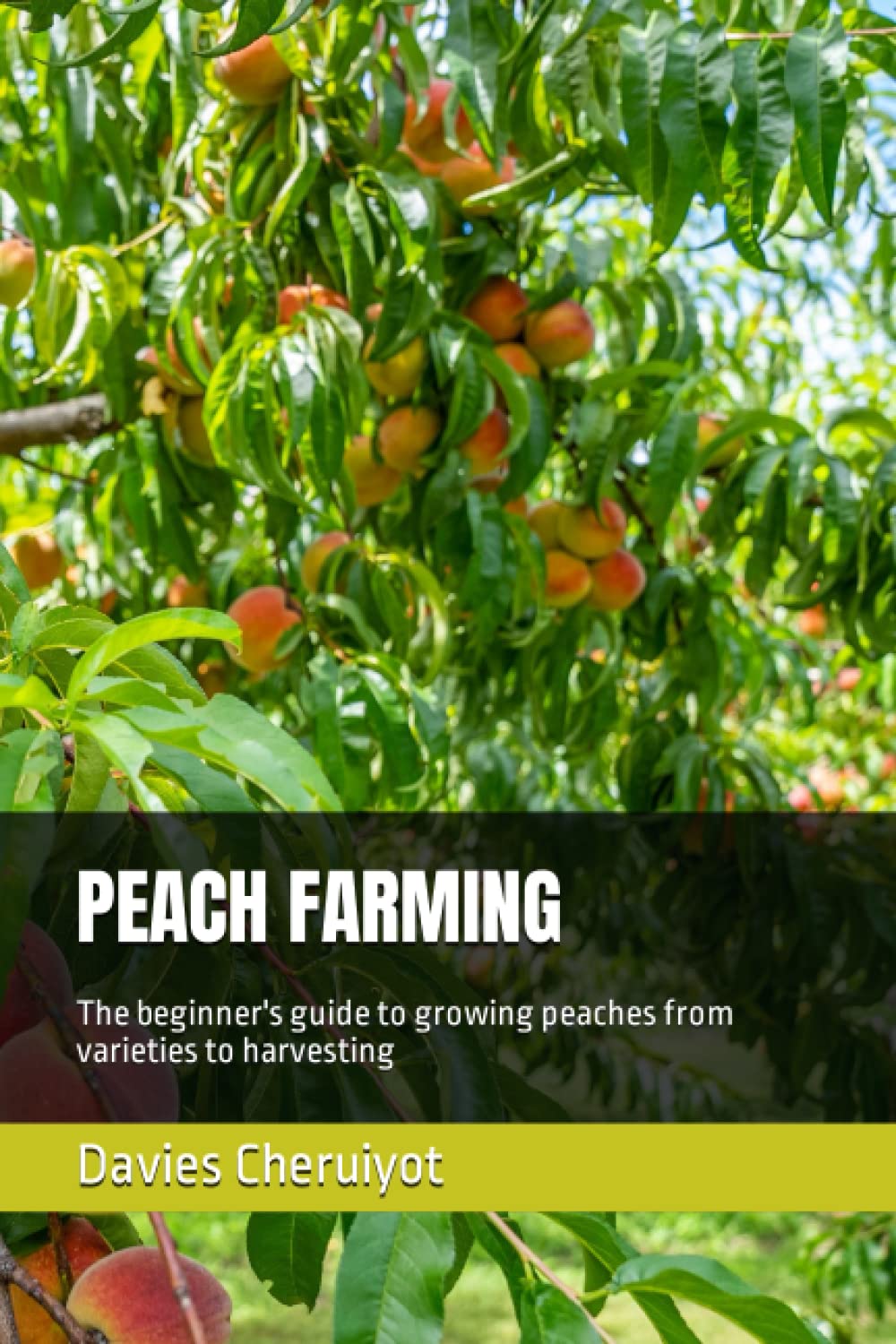 PEACH FARMING: The beginner's guide to growing peaches from varieties ...