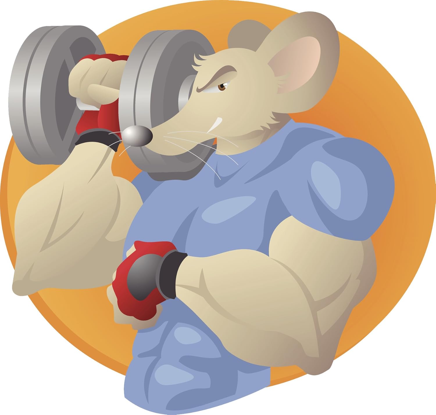 Amazon.com: Divine Designs Buff Muscular Super Gym Rat Mouse Cartoon ...