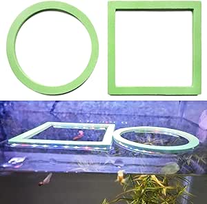 Amazon.com : Fish Feeding Ring & Floating Plant Corral Aquarium Feeding ...