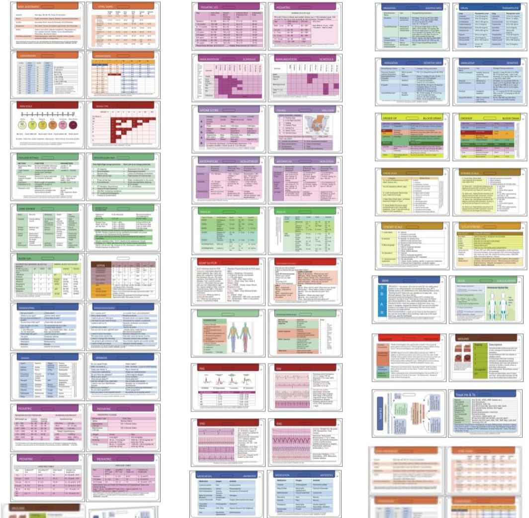 Amazon.com : MOMOZEE Complete (32 pcs) Nurse Student Reference Card Set ...