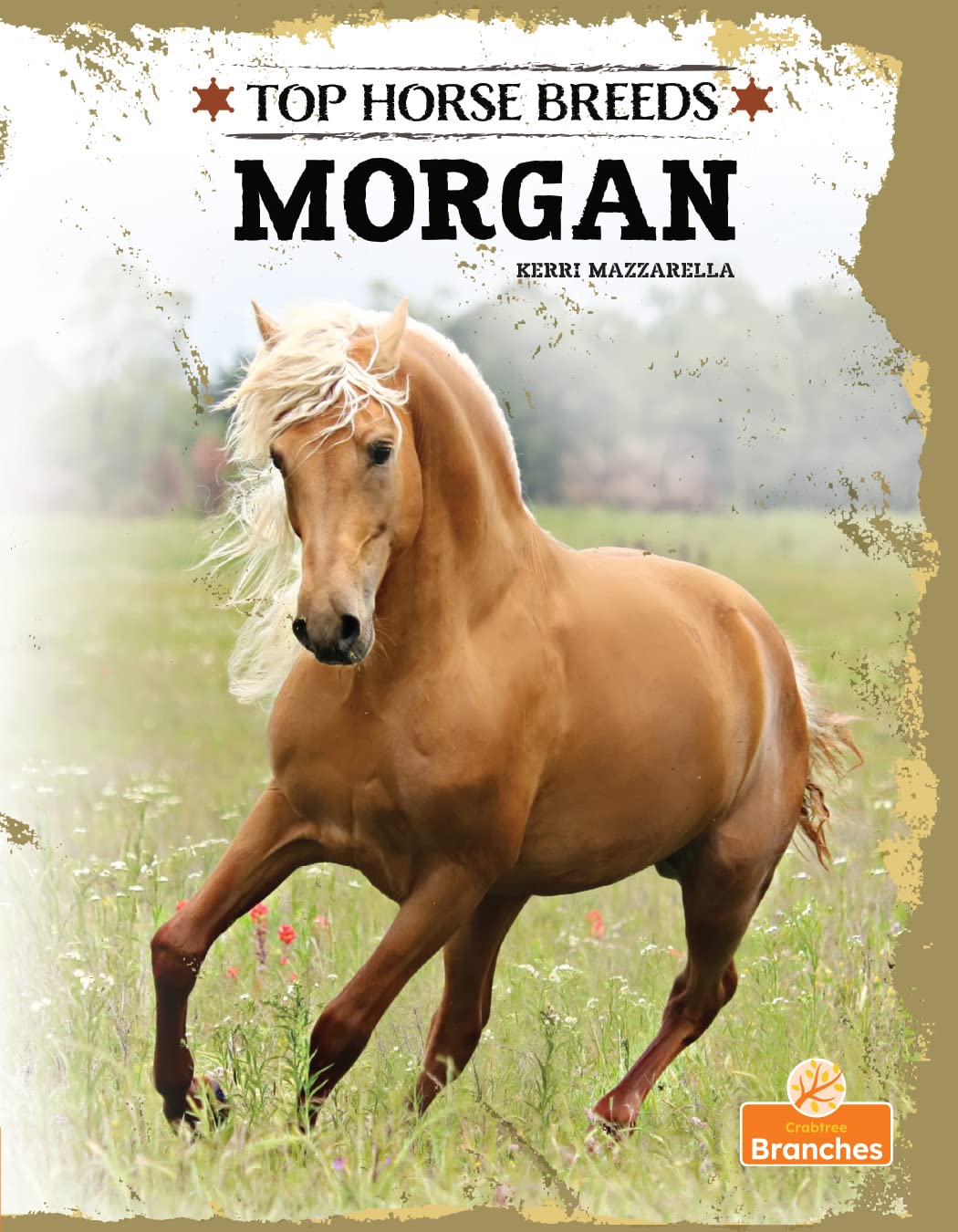 Morgan (Top Horse Breeds): Mazzarella, Kerri: 9781039809444: Amazon.com ...