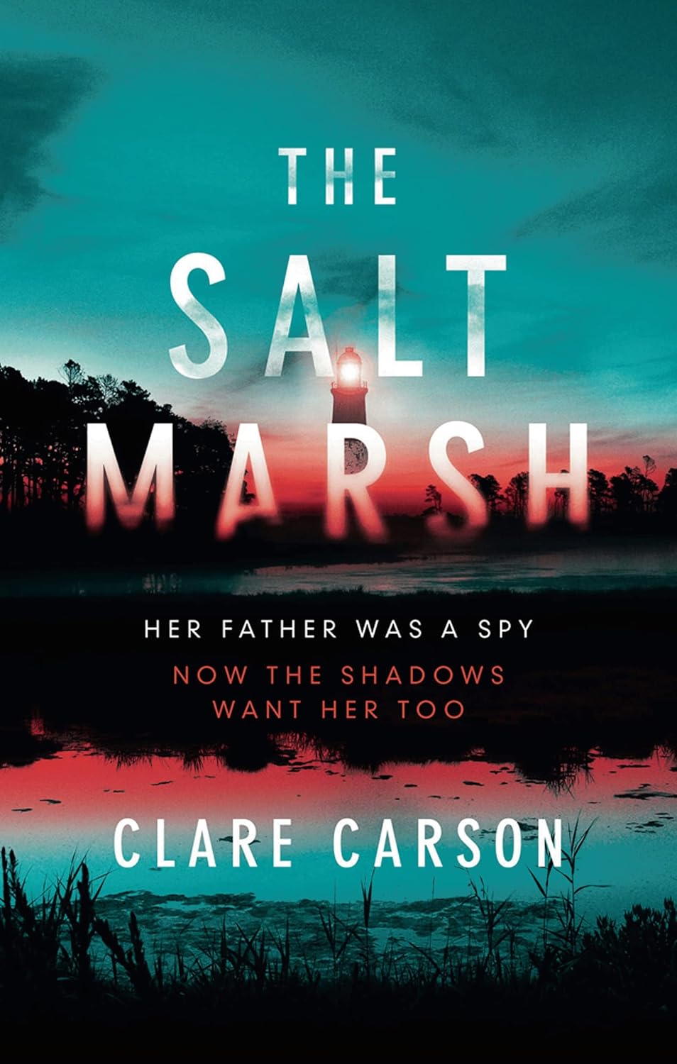 The Salt Marsh (Sam Coyle Trilogy Book 2) eBook : Carson, Clare: Amazon ...
