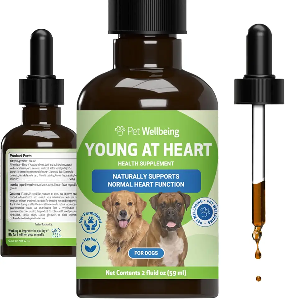Safe Coq10 Dosage For Dogs: A Quick Guide | PetShun