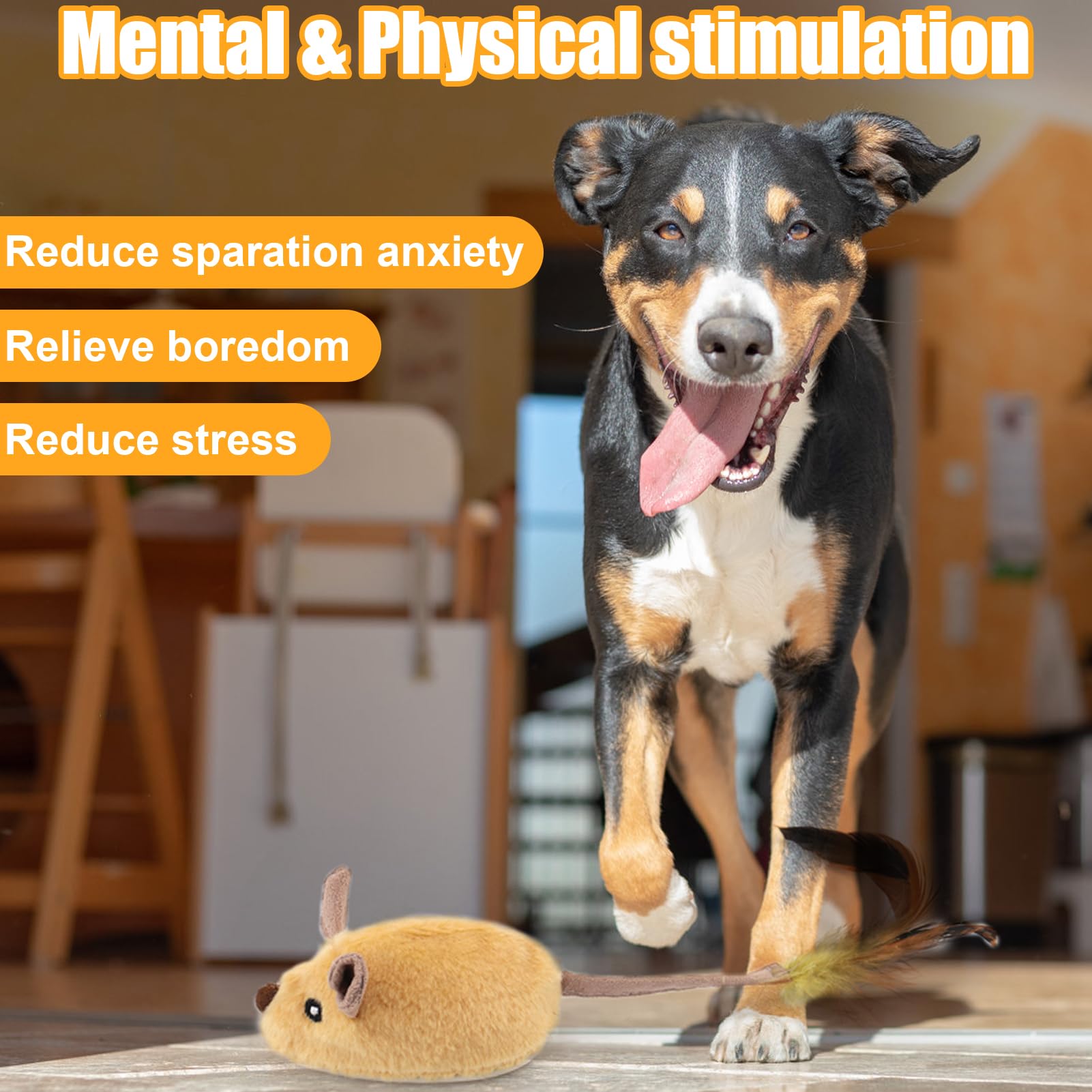 Snapklik.com : Mity Rain Interactive Dog Toys, Fake Mouse Moving Dog Toy