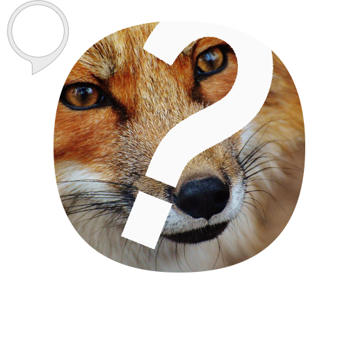 Amazon.in: Mystery Animal Sound Game : Alexa Skills