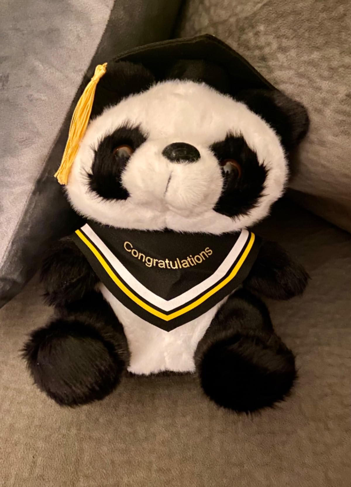 Amazon.com: WEWILL Rainbow Graduation Teddy Bear Stuffed Animal ...