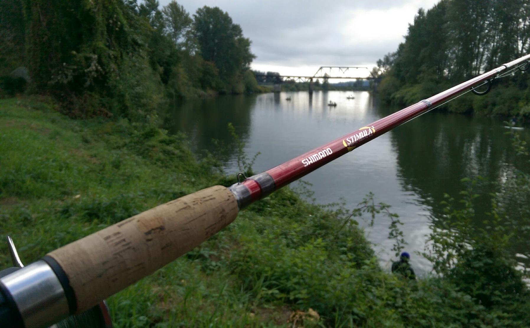 Amazon.com : Shimano Stimula 2-Piece Spin Rod (6-Feet 6-Inch Medium ...