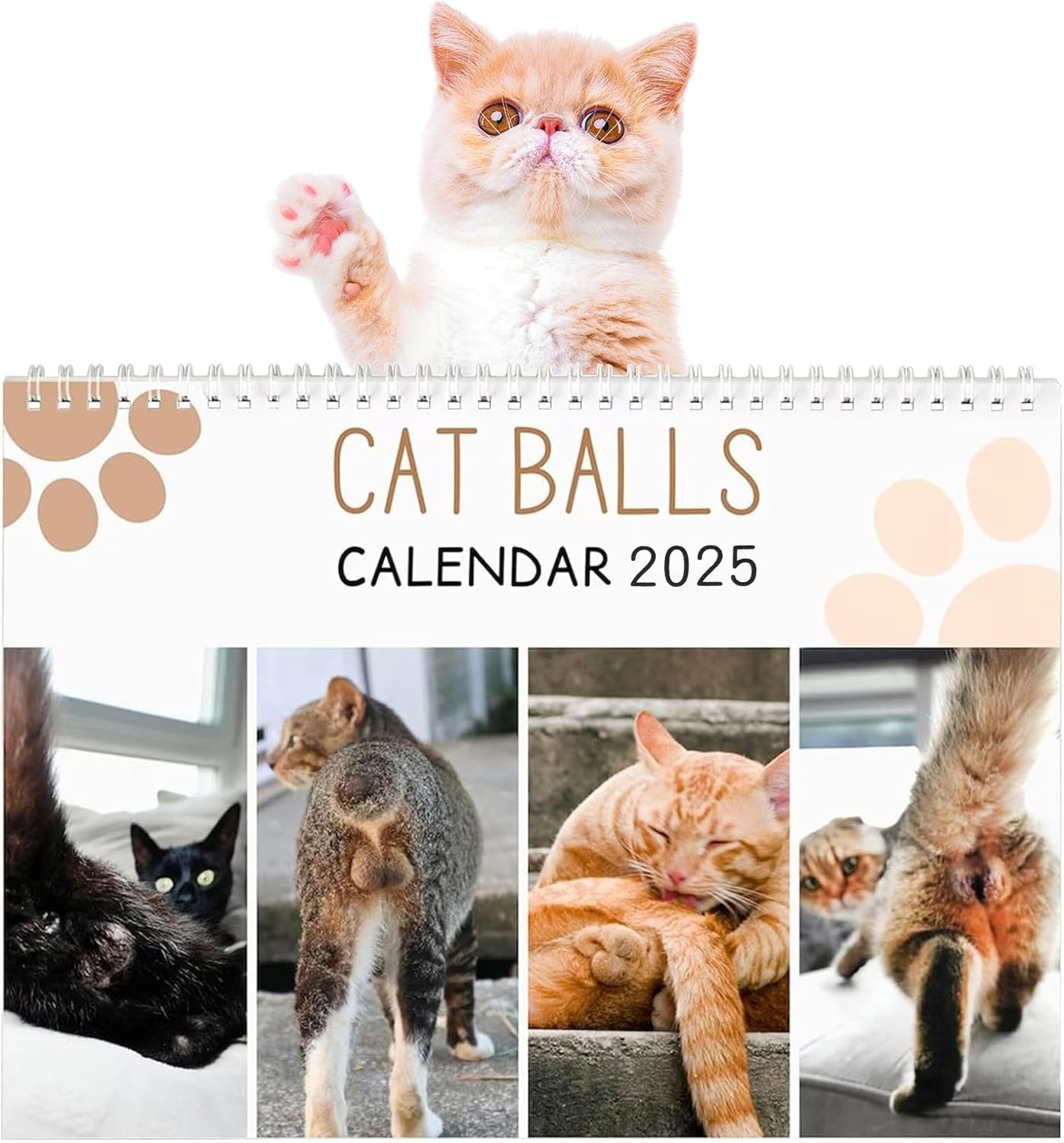 Amazon.com: 2025 Wall Calendar | Cat Balls Calendar 2025, 12 Monthly ...