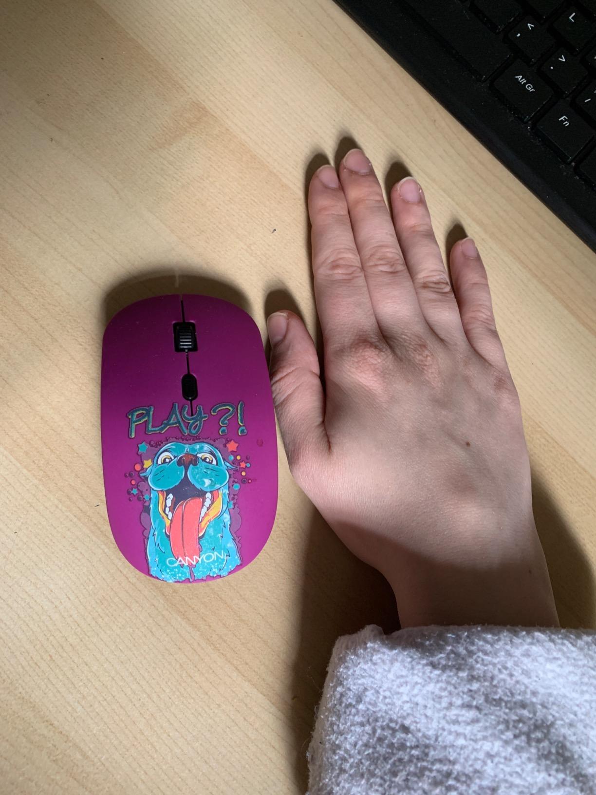 CANYON trendy wireless laptop mouse 2.4GHz upto10 m distance with ...