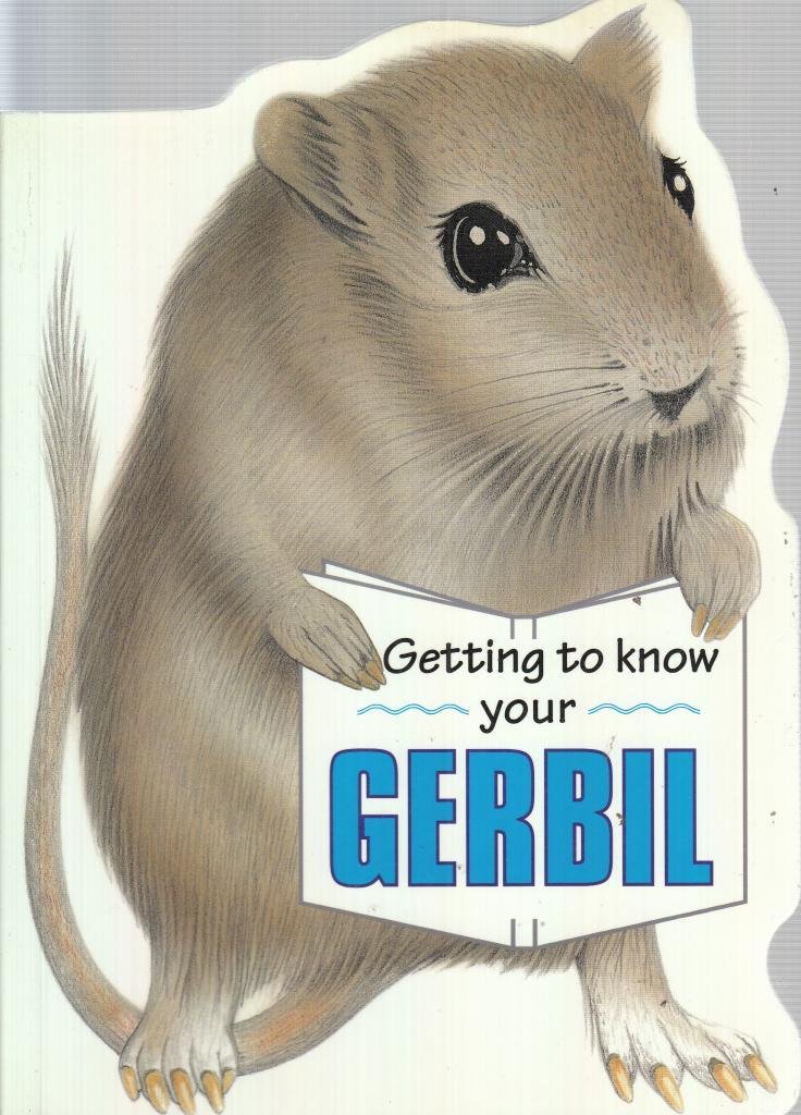 Getting to Know Your Gerbil: Page, Gill: 9781842860427: Amazon.com: Books