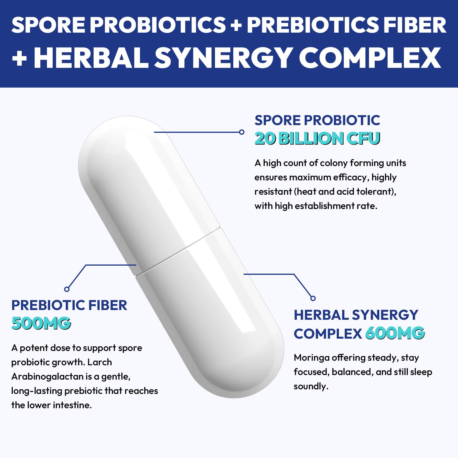 Snapklik.com : 100% Spore Probiotic, 20 Billion CFU Spore Based ...
