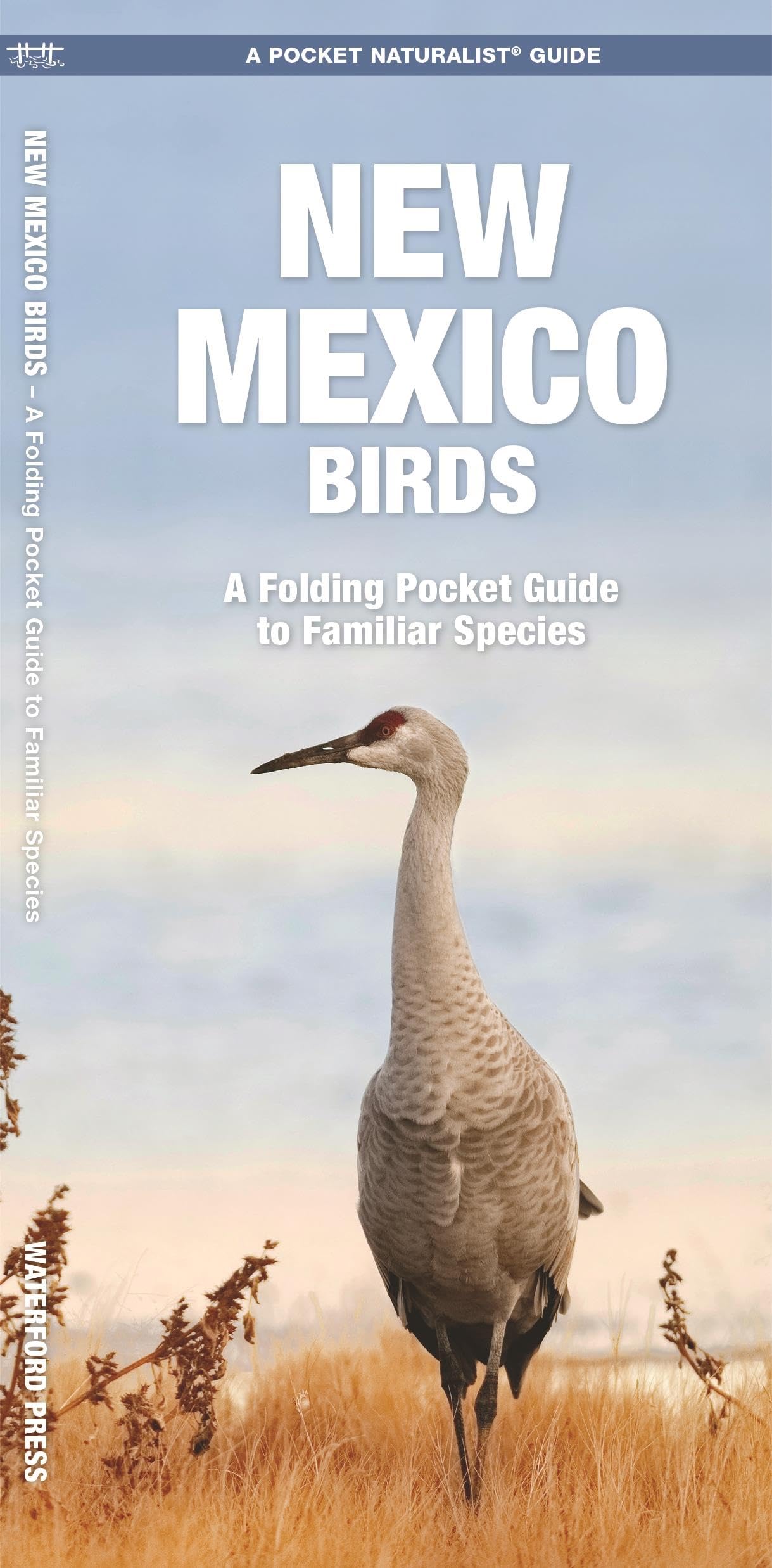 New Mexico Birds: A Folding Pocket Guide to Familiar Species (Nature ...