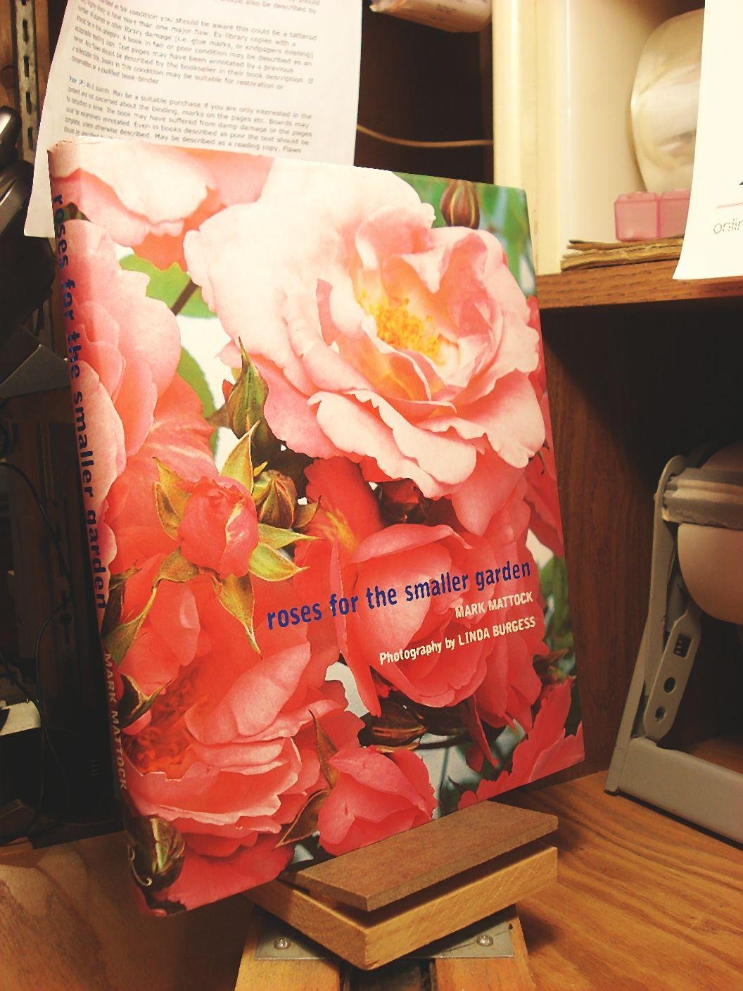 Roses for the Smaller Garden: Mattock, Mark: 9780847824182: Amazon.com ...