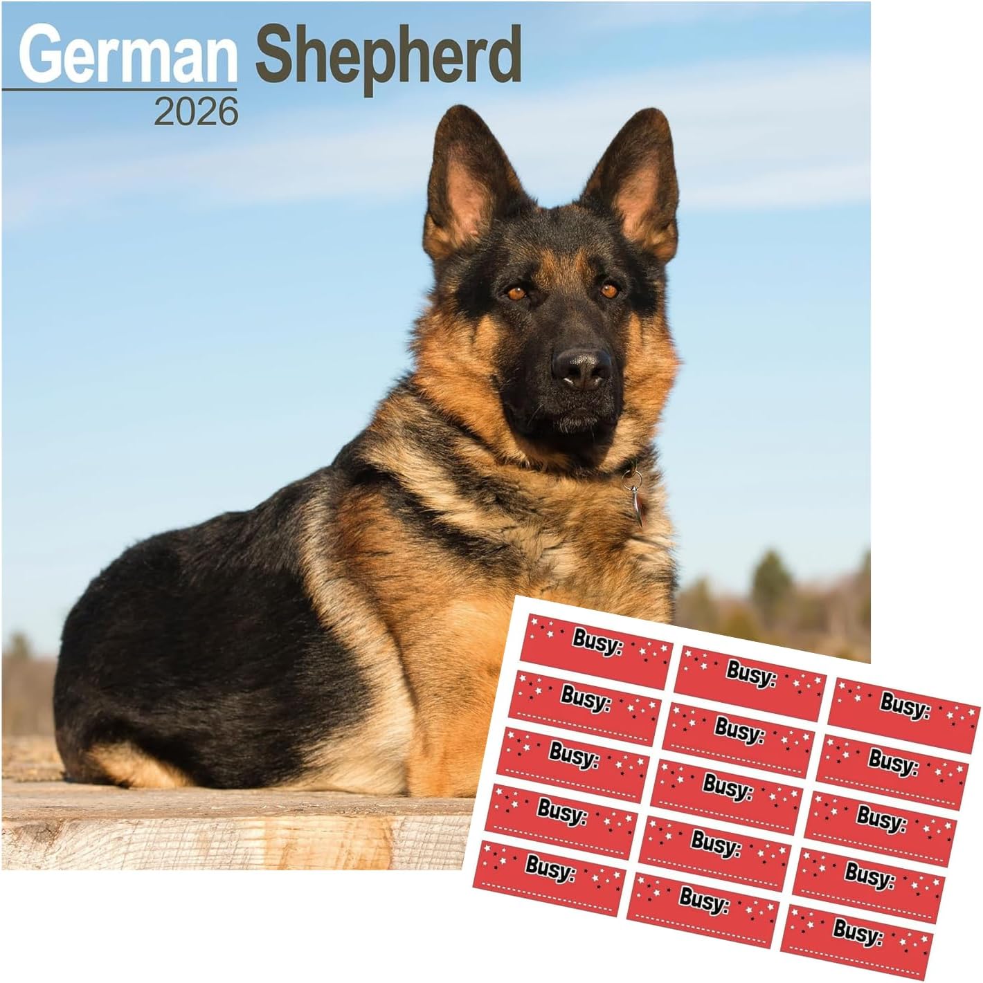 German Shepherd 2025 Deluxe Calendar : Amazon.co.uk: Stationery ...