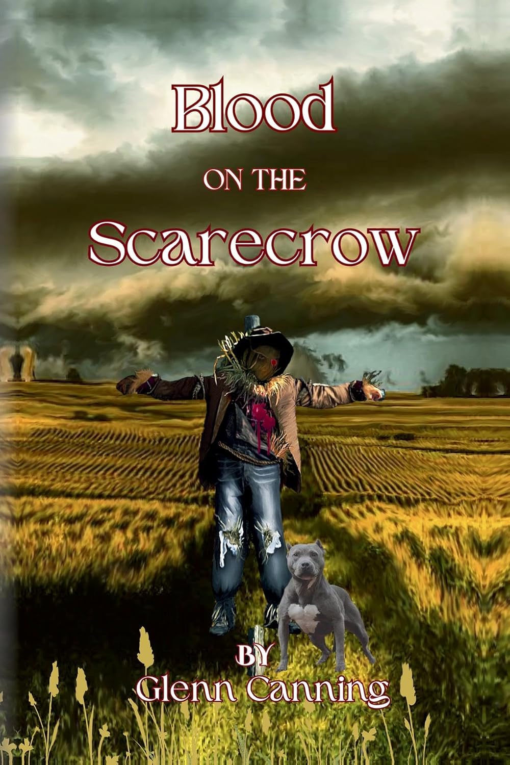 Blood on the Scarecrow - Kindle edition by Canning, Glenn. Literature ...