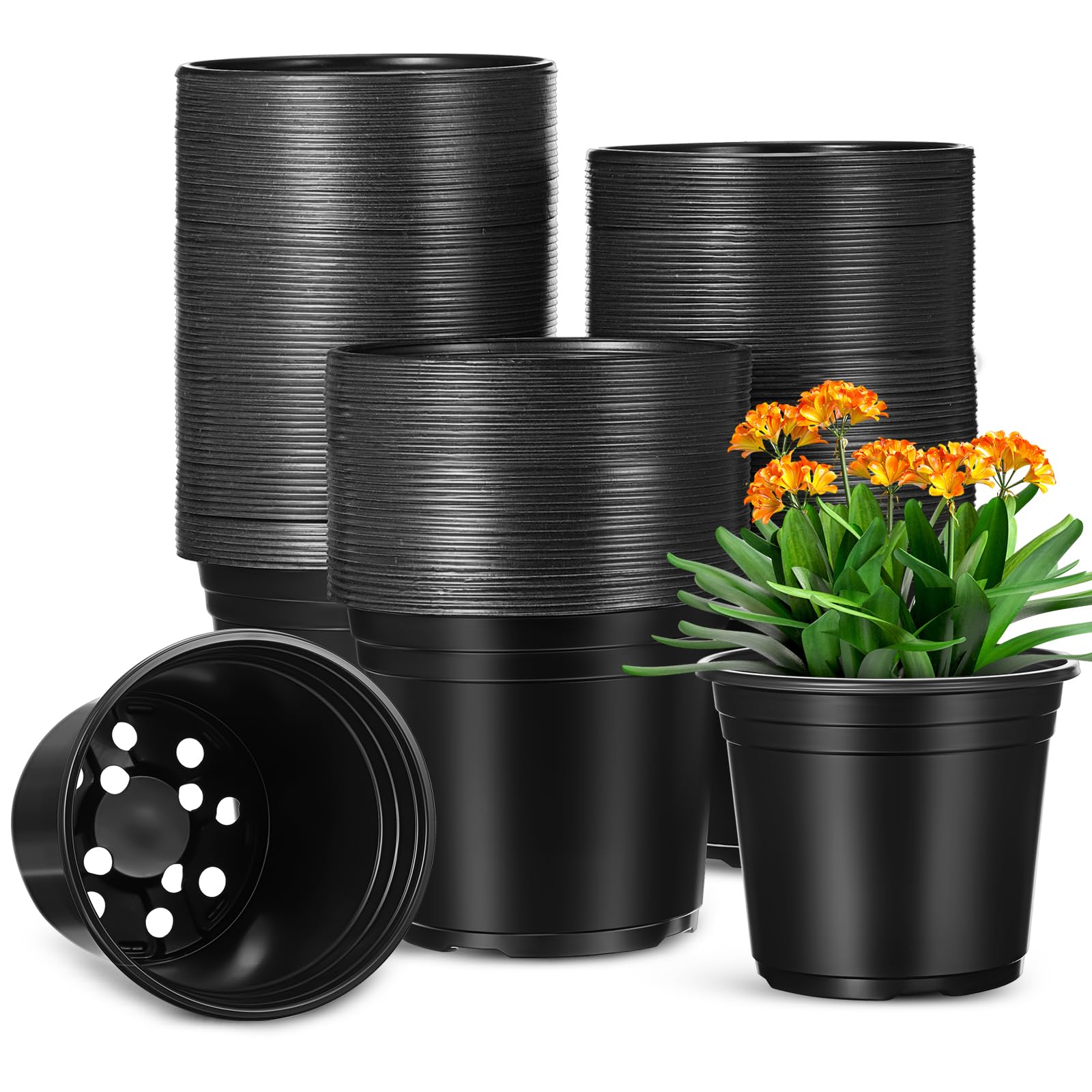 500 Pieces 6 Inch Plastic Nursery Pots Plant Pot Seeding Pots with ...