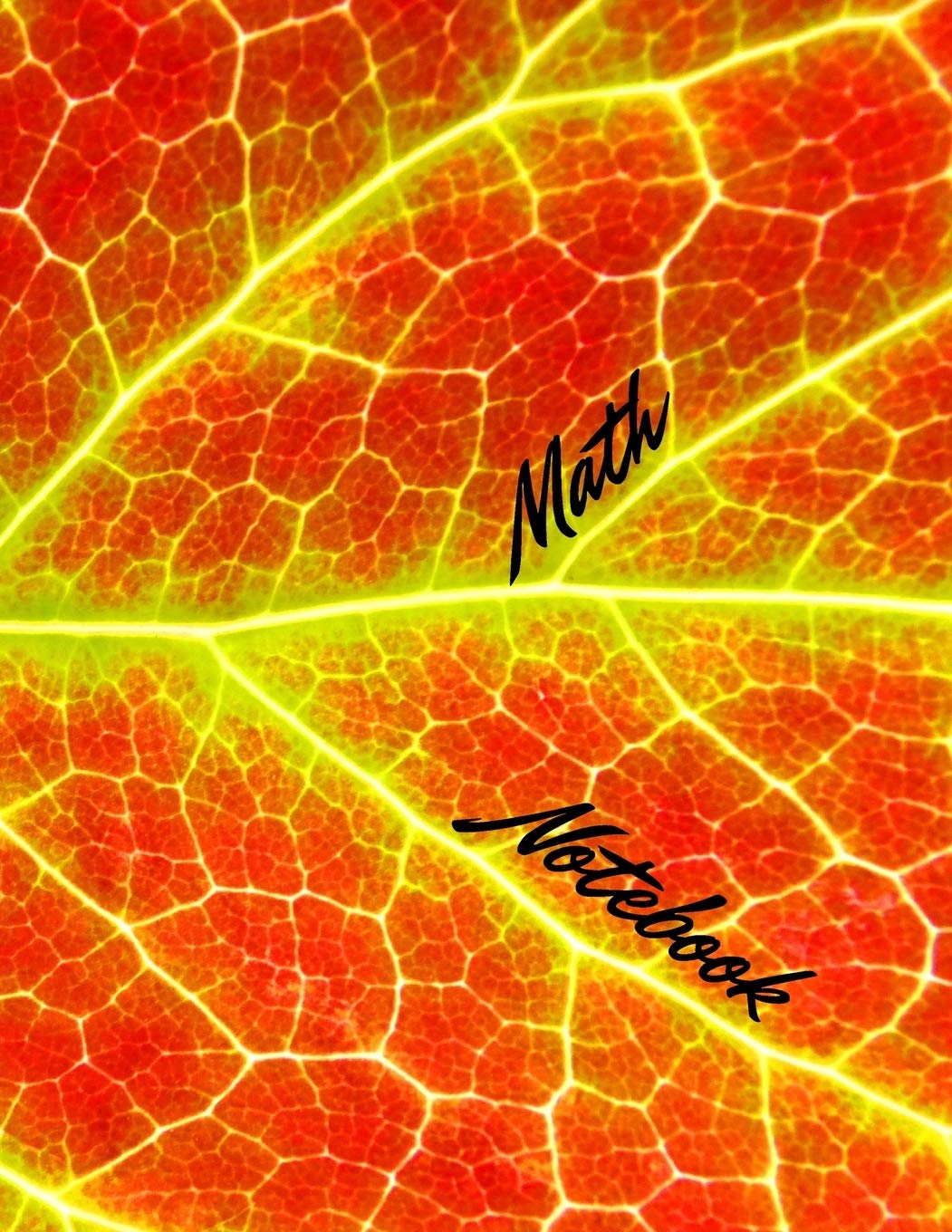 Math Notebook: 120 pages, math notebook, quad ruled workbook, 8.5 x 11 ...