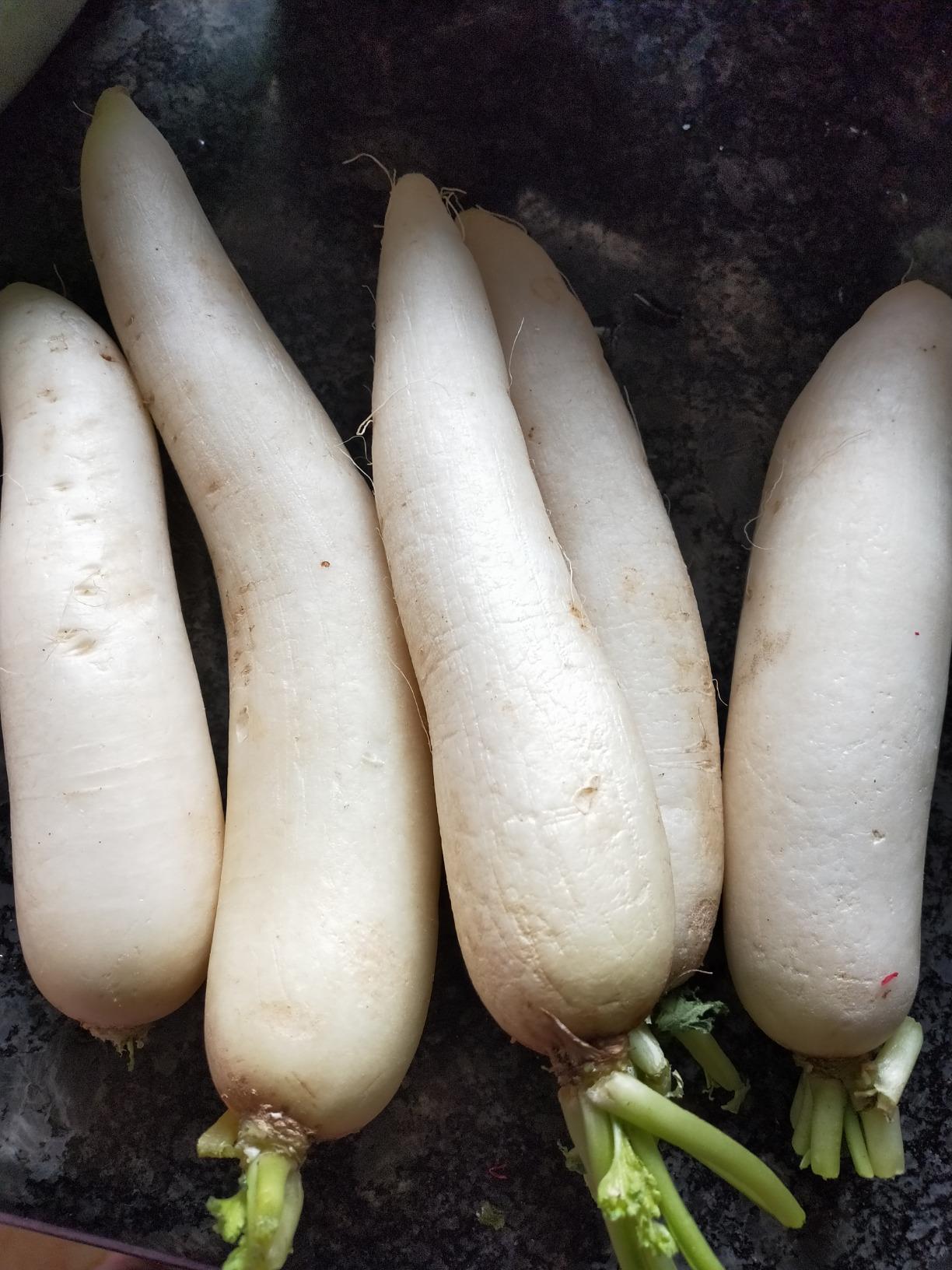 Fresh Organic Radish, White, 500g : Amazon.in: Grocery & Gourmet Foods