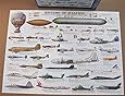Amazon.com: EuroGraphics History of Aviation Puzzle (1000-Piece) : Toys ...