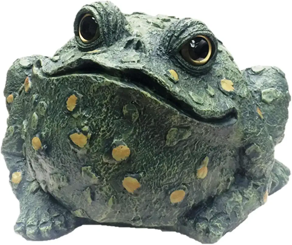 The Mating Habits Of American Toads: A Fascinating Look Into ...