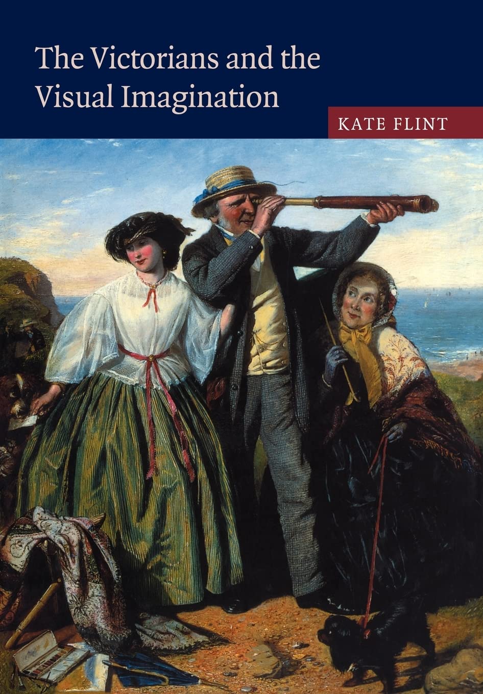 Amazon.com: The Victorians and the Visual Imagination: 9780521089524 ...